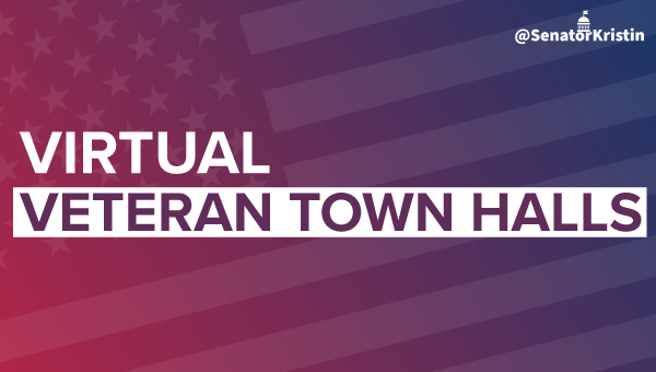 Veterans Town Hall on Nov. 2 (virtual) - Senator Phillips-Hill