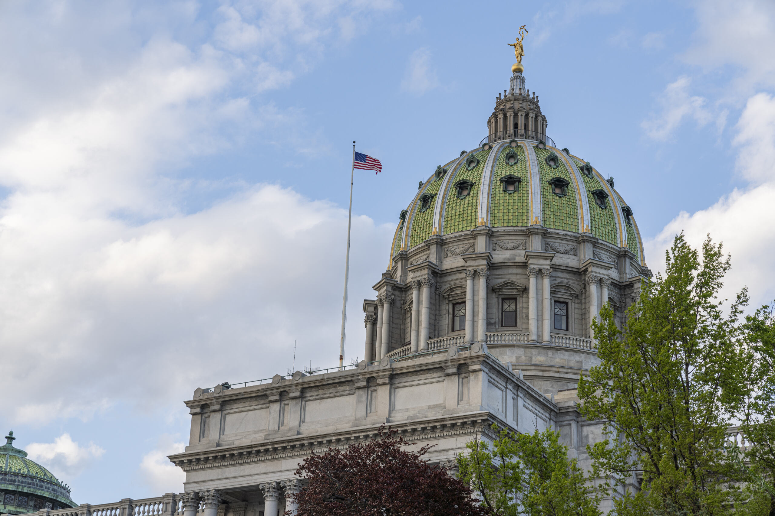 Senate Advances Bill to Rein in Use of Unconfirmed Leaders of State ...
